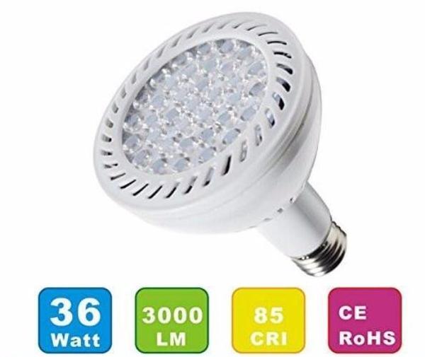 PoolTone™ White LED 110 120 Volt Bulb 35W Watts for Sta-Rite® Swimquip